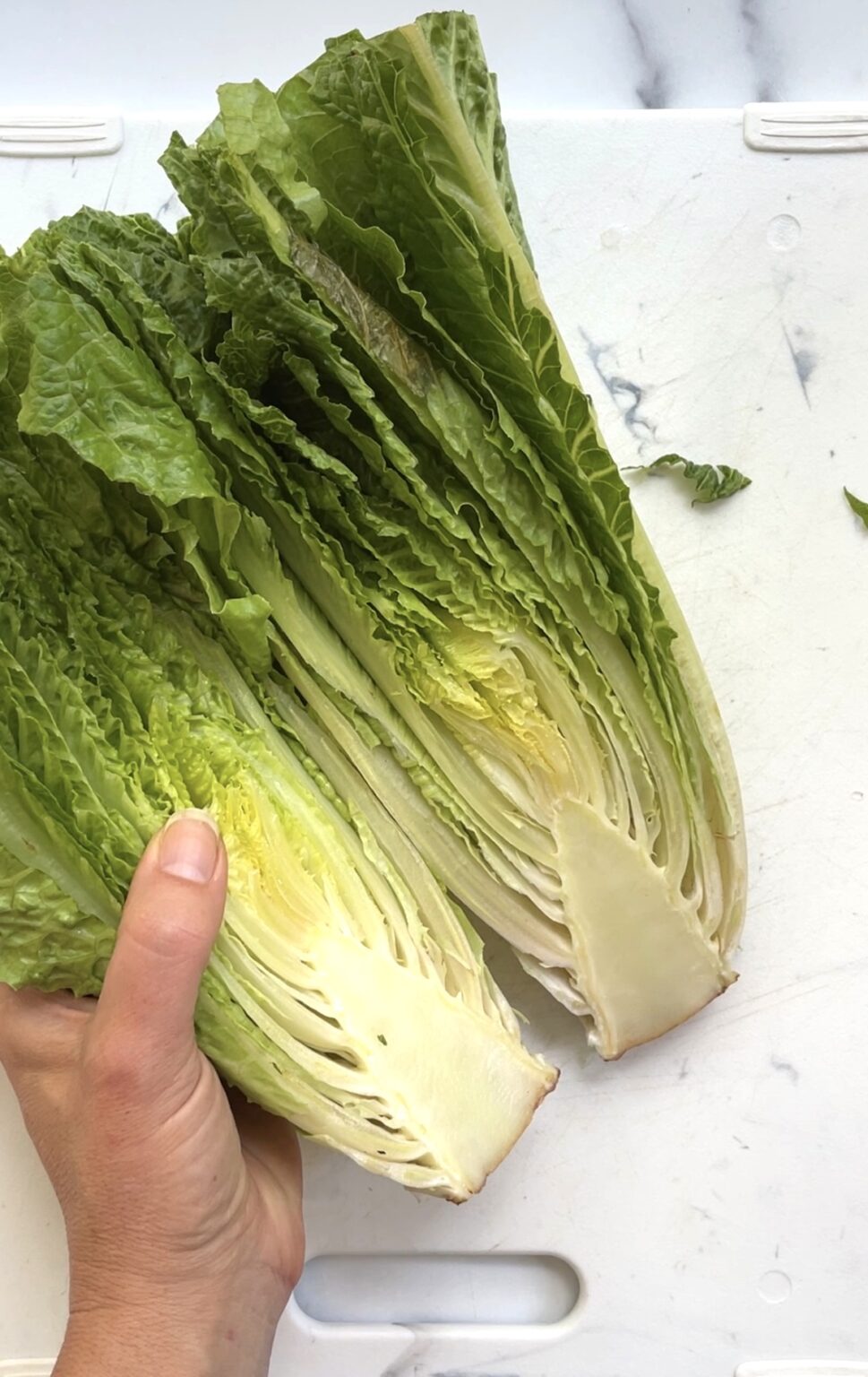 Charred Romaine Salad with Walnuts + Lemon Parmesan Dressing