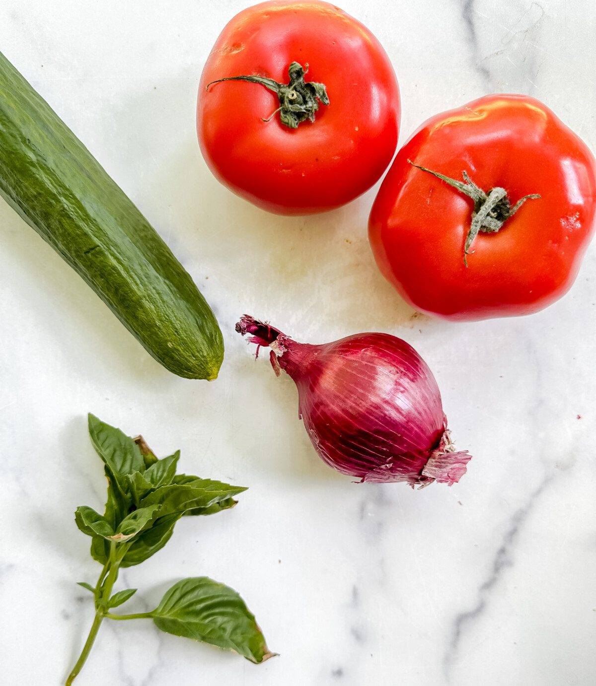 Italian Cucumber and Tomato Salad